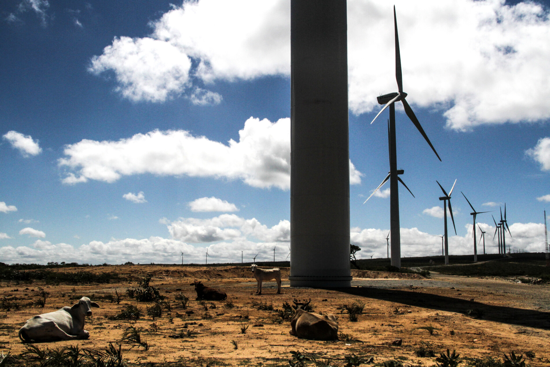 Sala de Imprensa - ABEEólica
